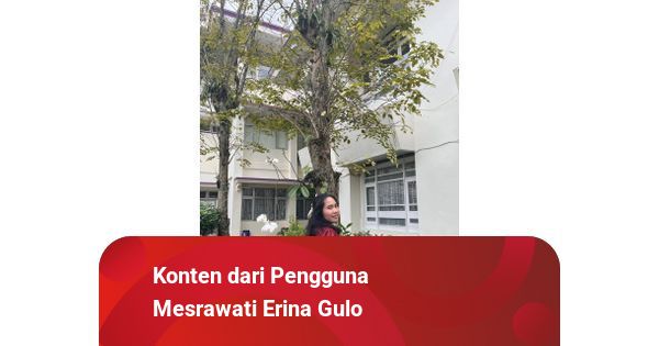 Kontra Implementasi Teknologi AI dalam Kurikulum Pendidikan Nasional ...